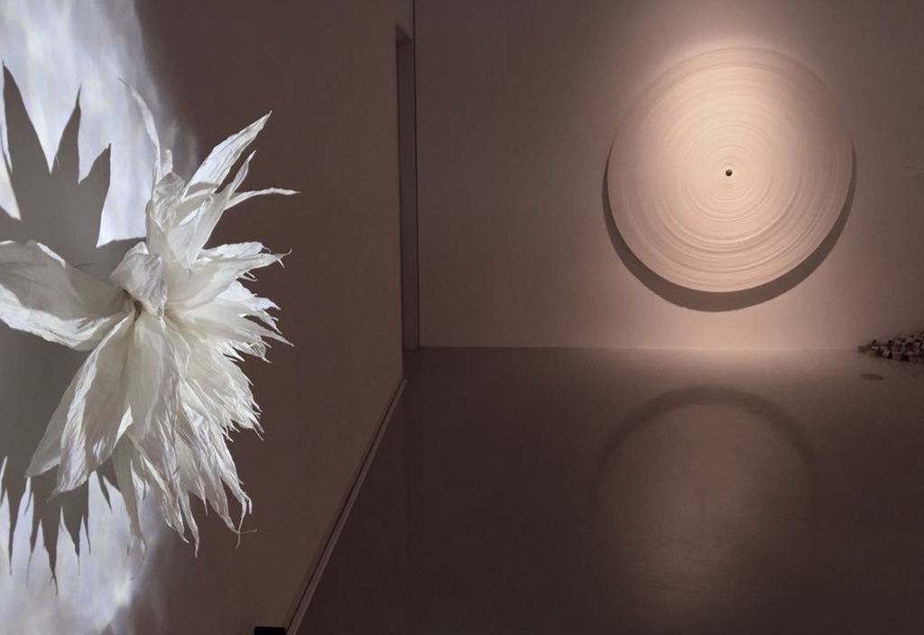 chaaka Official Web Site